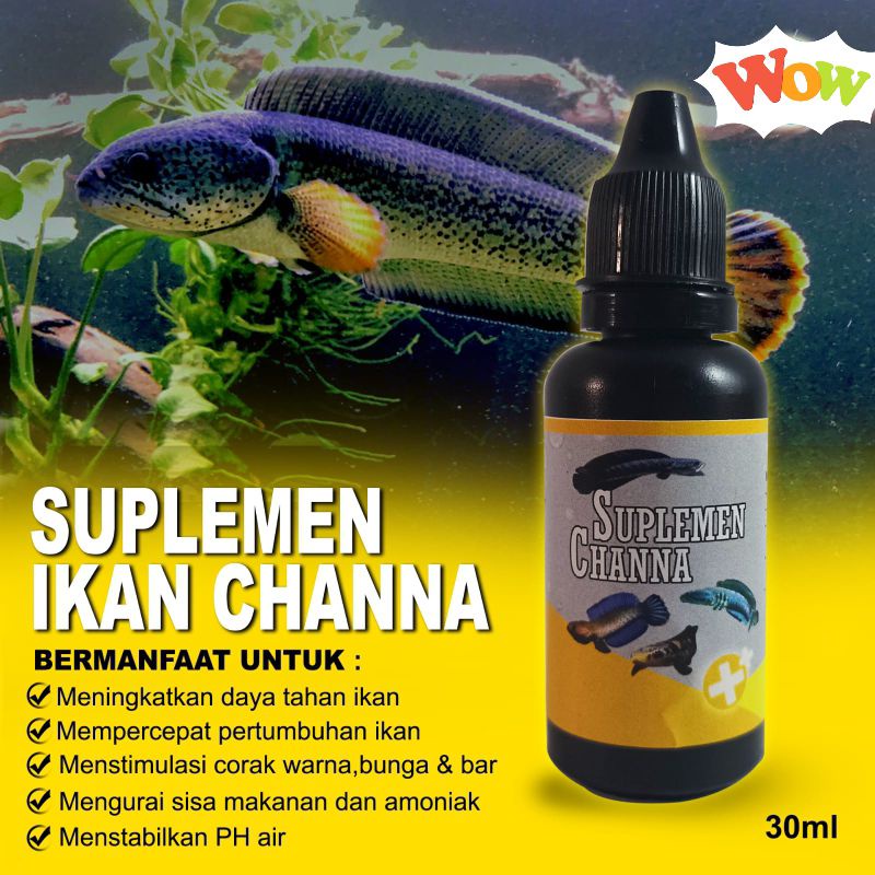 Jual Suplemen Vitamin Ikan Channa Obat Probiotik Channa Mutasi Warna ...