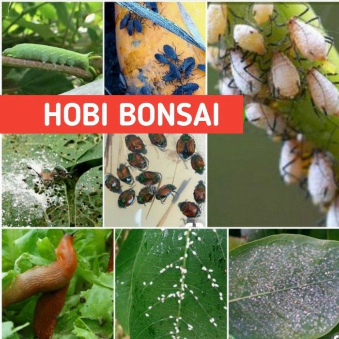 Jual NEEM buat tanaman | Shopee Indonesia