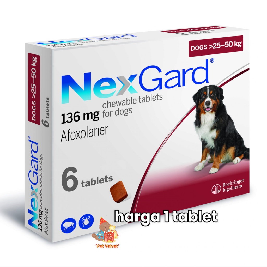 Jual Nexgard Obat Kutu Size XL (25-50 kg) Anjing Besar Giant Dog (1 ...