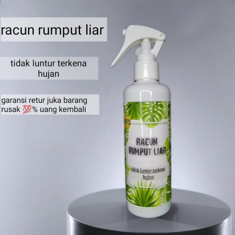 Jual racun rumput paling ampuh / ILALANG DAN GULMA NAKAL RACUN RUMPUT ...