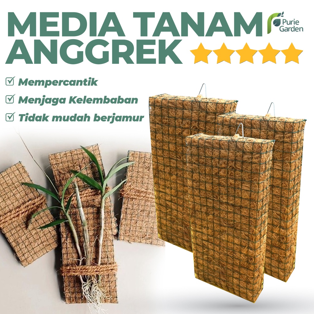 Jual Media Tanam Anggrek Papan Serabut Pengganti Pakis PG SBY | Shopee ...
