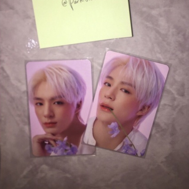 Jual Photocard PC JENO NCT CANDYLAB | Shopee Indonesia