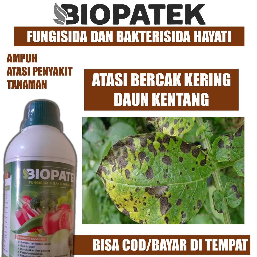 Jual BIOPATEK Anti Patek Fungisida dan Bakterisida Hayati Obat Penyakit ...