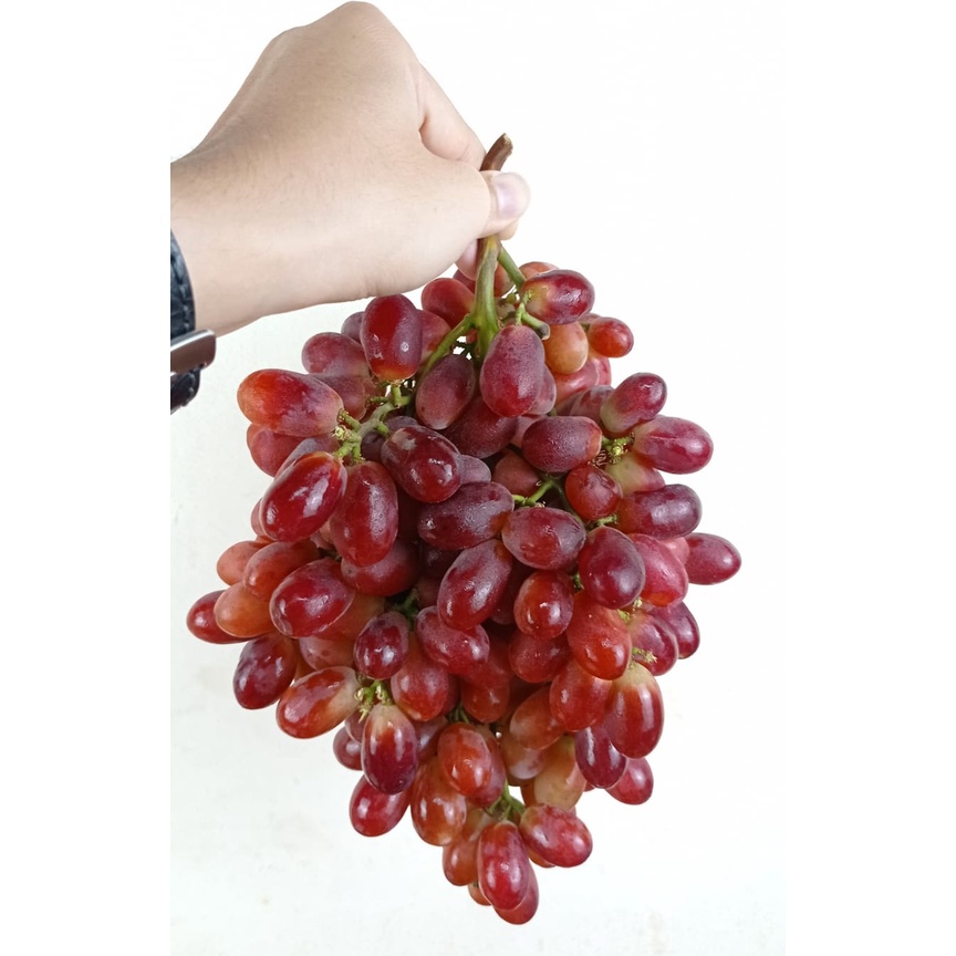 Jual Anggur Crimson Sweet Red Seedless Grapes IMPORT 250 gr | Shopee ...