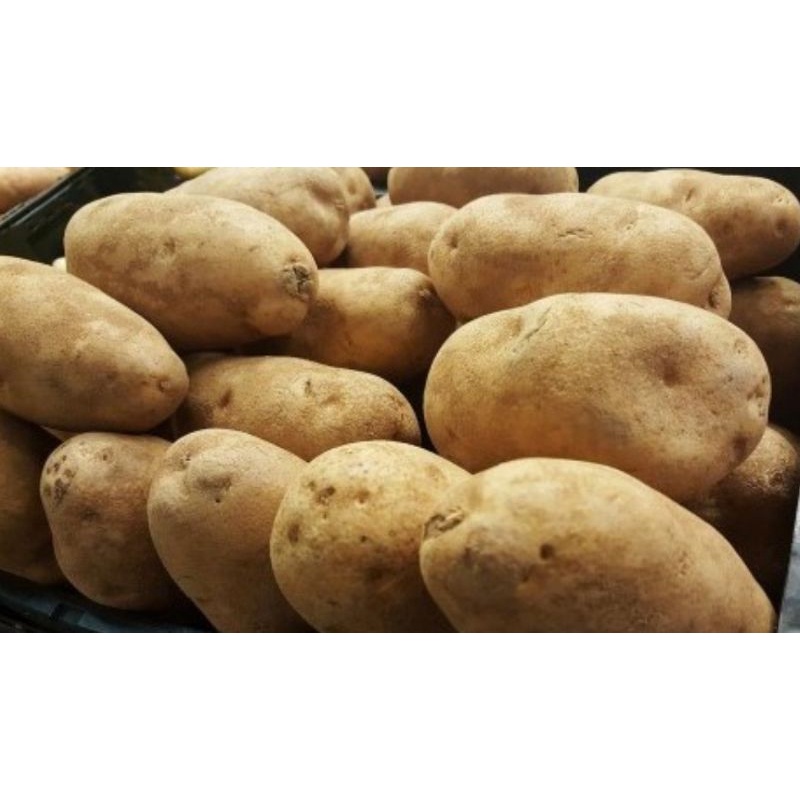Jual KENTANG DIENG BESAR /SUPER 1KG | Shopee Indonesia