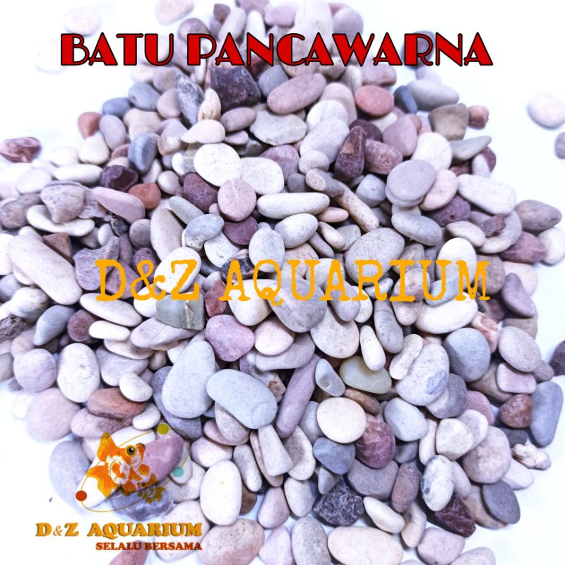 Jual Batu Panca Warna Pancawarna 500gr Aksesoris Aquarium Taman Kerikil ...