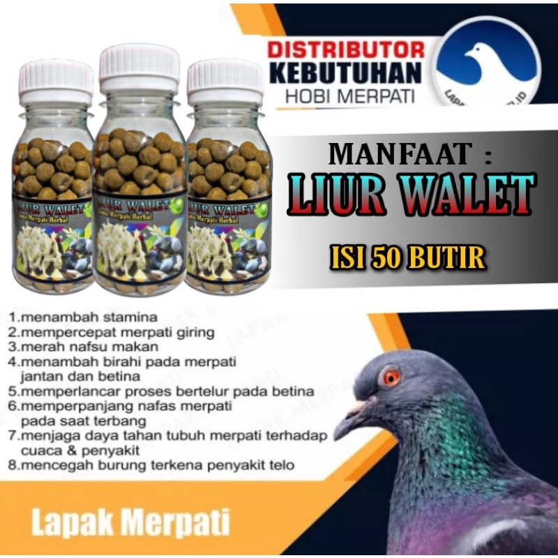 Jual LIUR WALET isi 120 butir jamu merpati kolong tinggi raja pukul ...