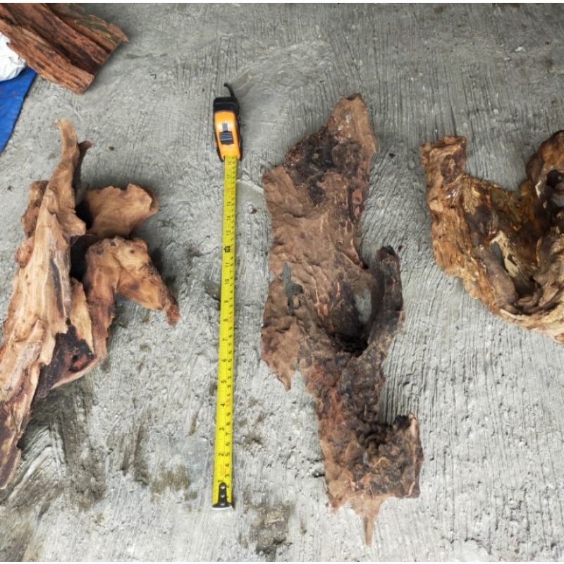 Jual Akar kayu rentek aquascape size L | Shopee Indonesia