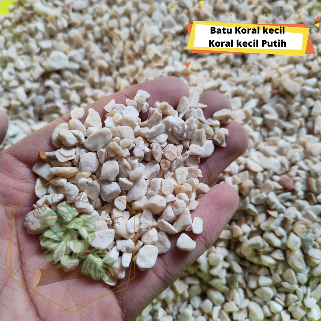 Jual [JM_Garden] Batu Hias Koral Kecil Putih / Batu Hias Taman / Batu ...