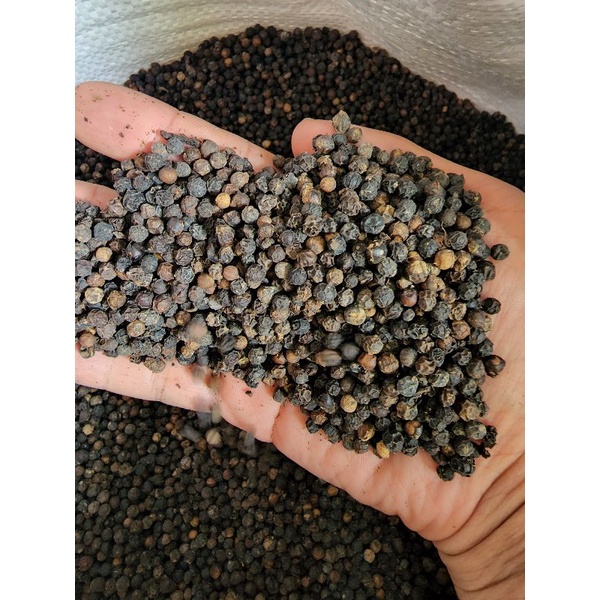Jual Lada hitam 500gr / Black pepper 500gr | Shopee Indonesia