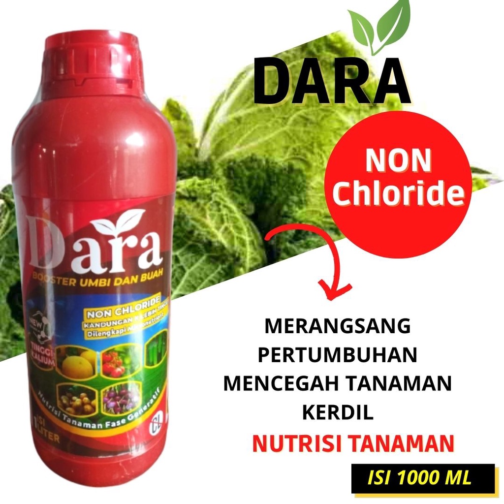 Jual Pupuk Dasar Tanaman Kubis, Pupuk Kalium Memacu Pertumbuhan Bunga ...