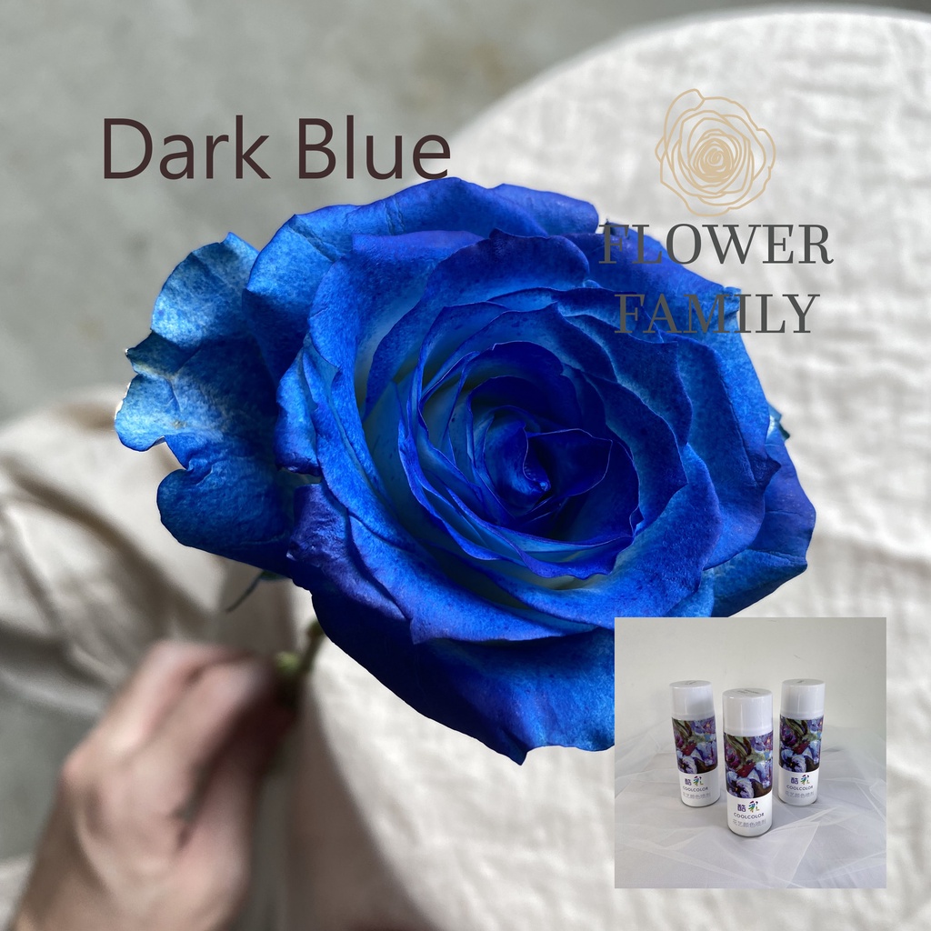 Jual Flower Family - COOL COLOR / Floral Spray / Pewarna Bunga Pilox ...