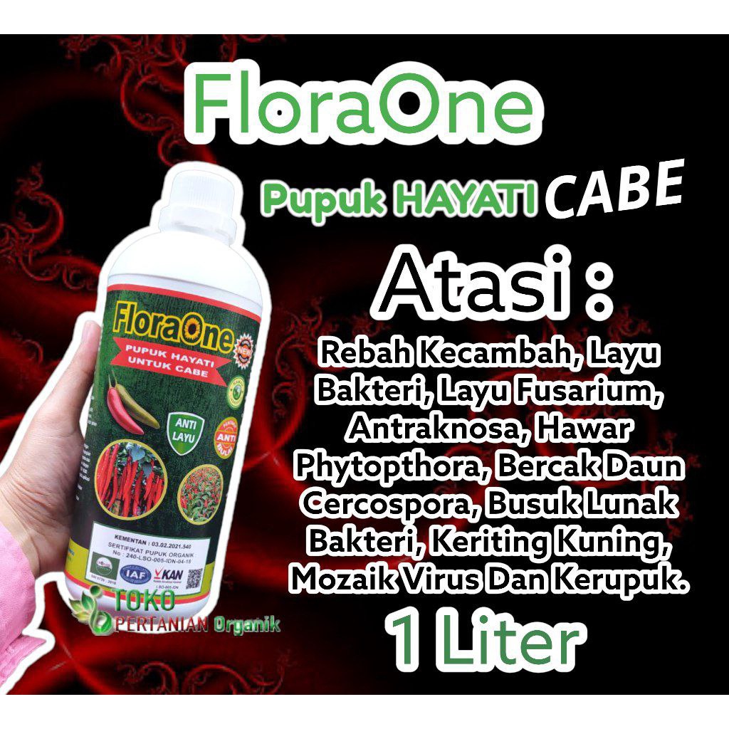 Jual Pupuk Hayati kebun cabe rawit agar berbuah lebat 1 Liter, Obat Fungisida hayati FLORAONE ...