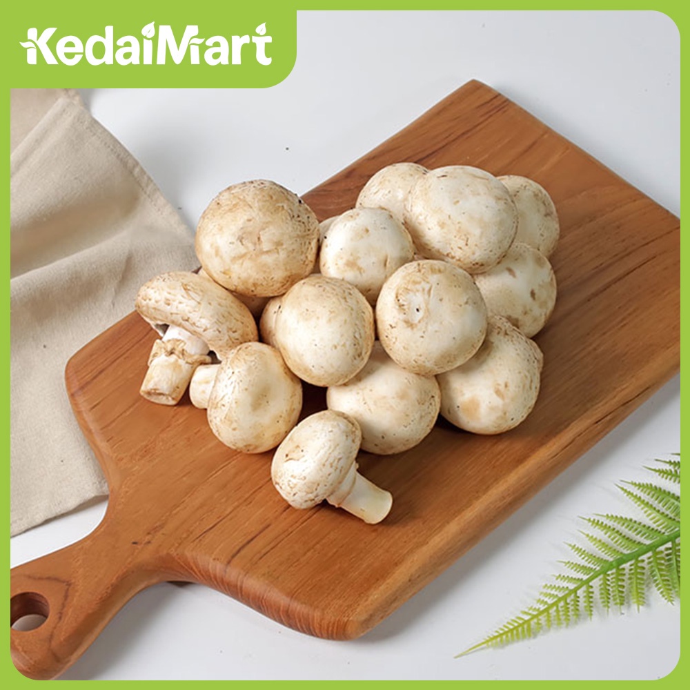 Jual Jamur Champignon 500 Gram | Shopee Indonesia