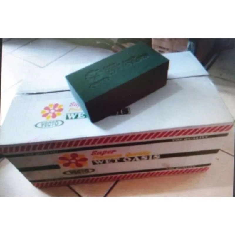 Jual 1 pcs oasis basah vecto , wet oase | Shopee Indonesia