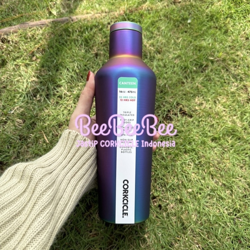Jual [SALE] CORKCICLE Dragonfly Canteen 16oz - Dragonfly, Nebula ...