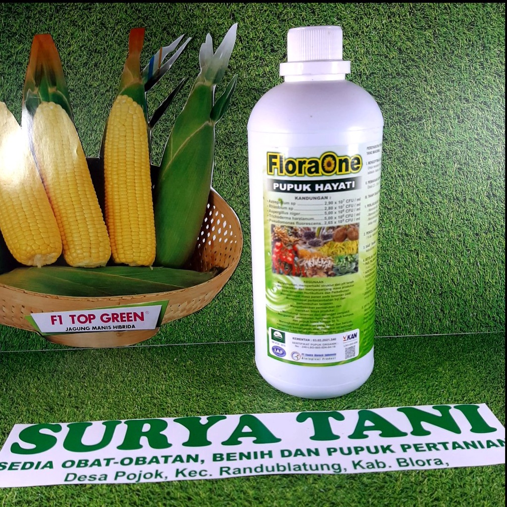 Jual PUPUK FLORAONE Pupuk FLoraOne pupuk hayati cair Pupuk Tricoderma ... Jual PUPUK FLORAONE Pupuk FLoraOne pupuk hayati cair Pupuk Tricoderma ...