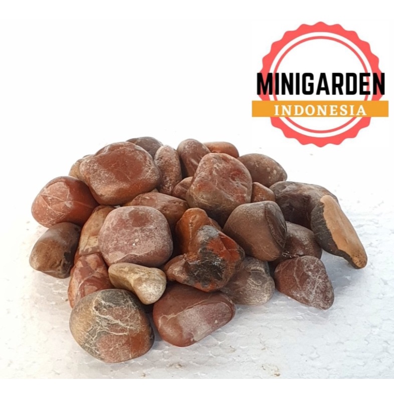 Jual BATU KORAL MERAH HATI batu taman aquascape merah sakit red pebbles ...
