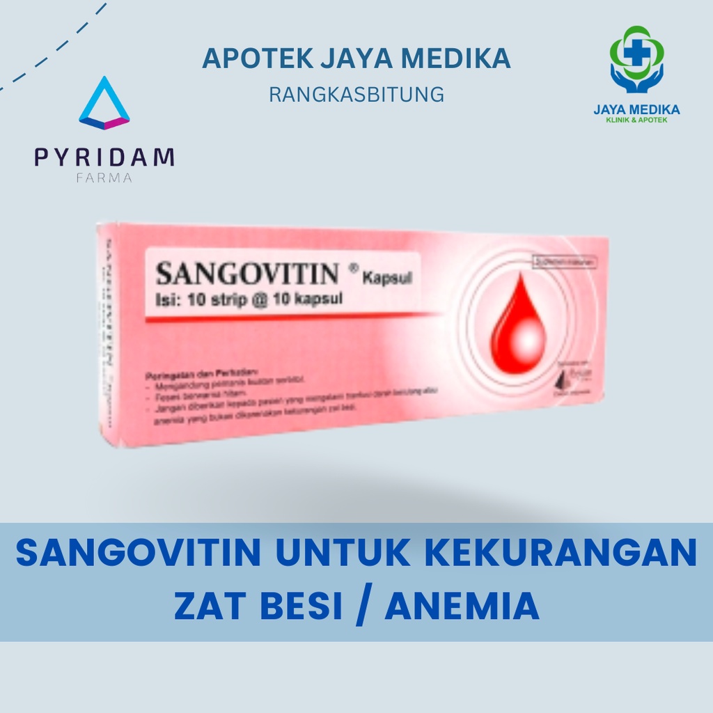 Jual Sangovitin untuk kekurangan zat besi / anemia - 10 tablet | Shopee ...