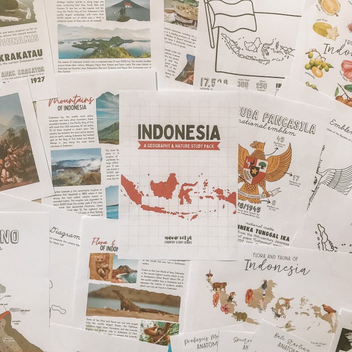 Jual Study Pack - Indonesia Vol. 1 / Printables - Homeschool Resource ...