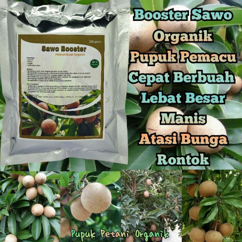Jual Pupuk Organik Pelebat Buah Dan Booster Sawo Cepat Berbuah Lebat | Shopee Indonesia