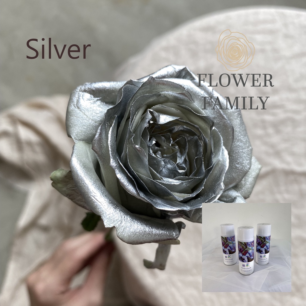 Jual Flower Family - COOL COLOR / Floral Spray / Pewarna Bunga Pilox ...