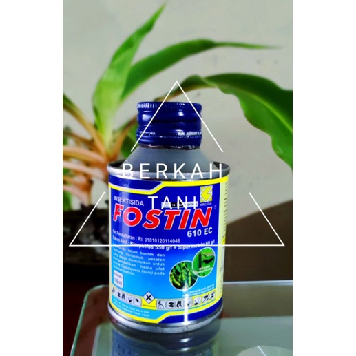 Jual FOSTIN 100ml Insektisida Kontak & Lambung ORIGINAL 100% | Shopee ...
