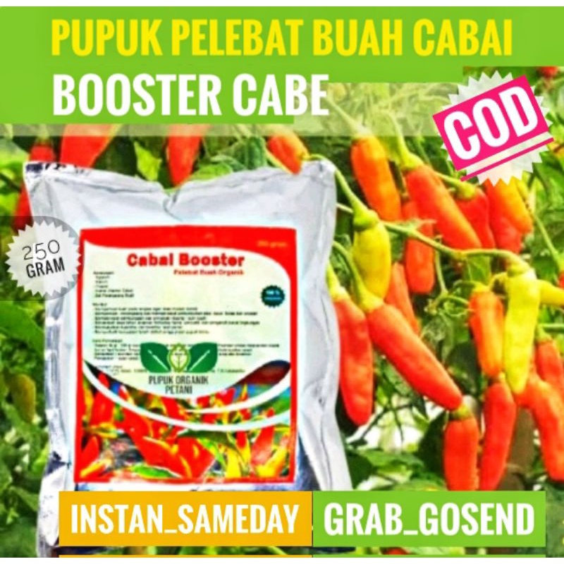 Jual PUPUK BOOSTER CABAI/PELEBAT BUAH CABE RAWIT | Shopee Indonesia