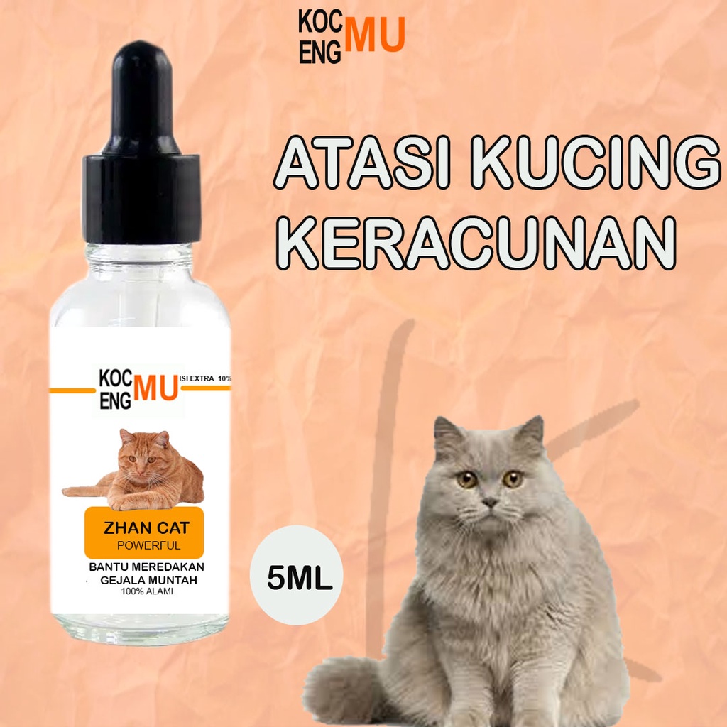 Jual Obat Muntah Kucing Penghilang Bau Mulut Kucing Obat mulut Kucing ...