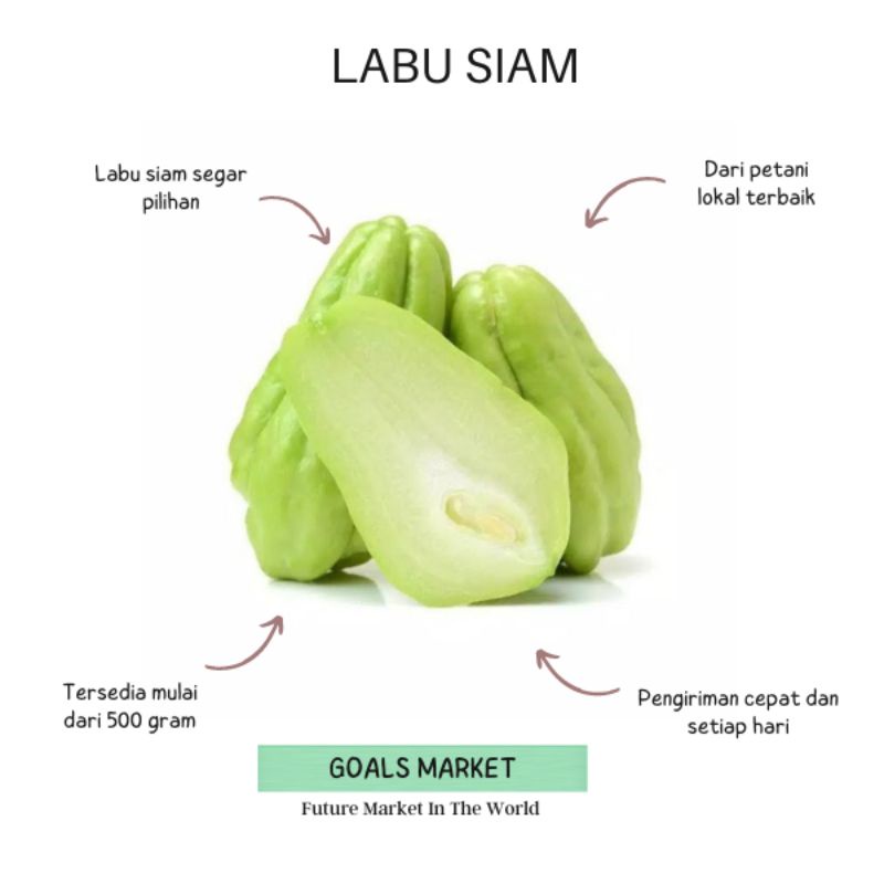 Jual Labu Siam 500 gr - 1 kg Sayur Manisa Labu Siam Lokal Fresh ...