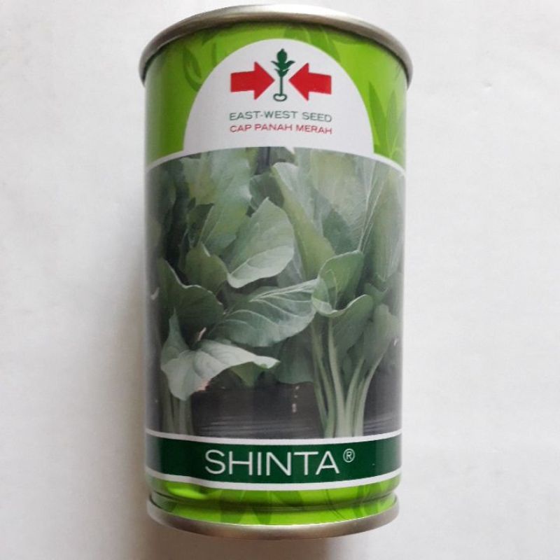 Jual Sawi shinta caisim kaleng 100 gr. Dijamin ori. Exp 2025 | Shopee ...