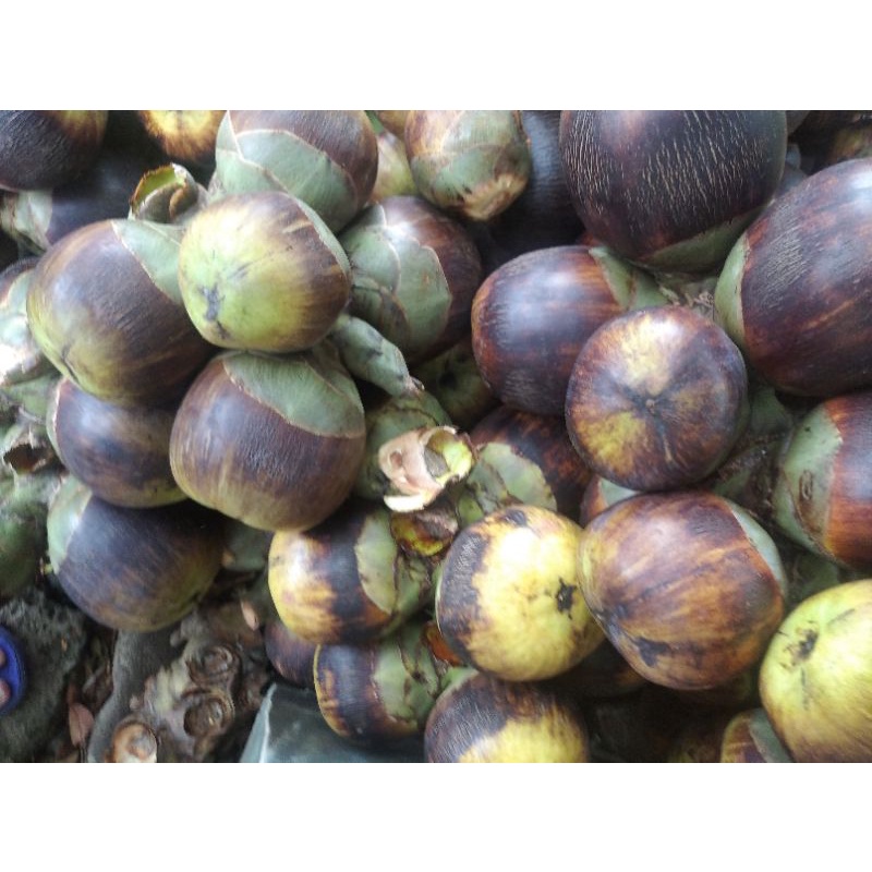 Jual Buah Lontar Siwalan Segar minim order 4 buah@ | Shopee Indonesia