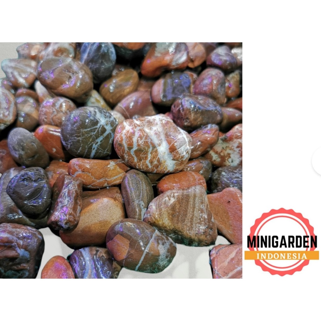 Jual BATU KORAL MERAH HATI ZAK 10KG batu taman red pebbles merah sakit ...