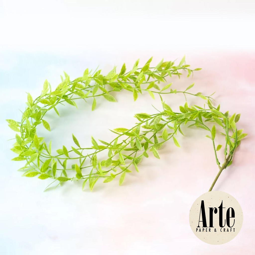 Jual 100 cm Daun Rambat Hoya Costa Lee Kwan Yew Gantung Hanging Leaf ...