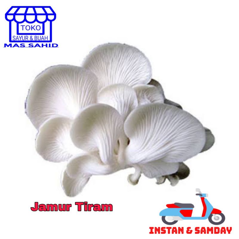 Jual Jamur Putih Jamur Tiram Segar kirim instan dan sameday | Shopee ...