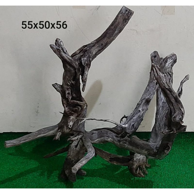 Jual Kayu Santigi Laut - Kayu Tenggelam - Aquascape - Channa - 55x50x56 ...