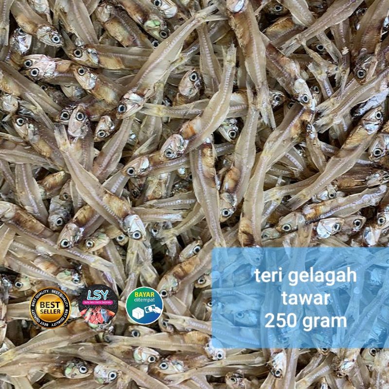 Jual ikan teri tawar gelagah super 250gram | Shopee Indonesia