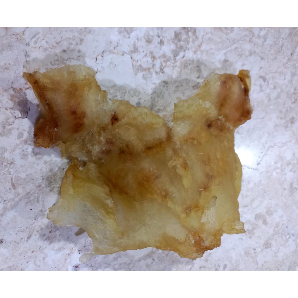 Jual Perut ikan super BAGONG 1KG | Shopee Indonesia