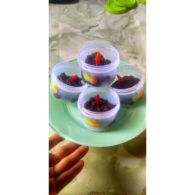 Jual Uyah Wadi Khas Nagara Basah / Kering | Shopee Indonesia