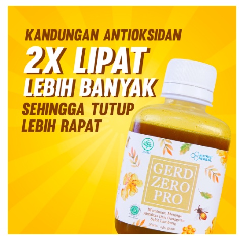 Jual GERD ZERO PRO - OBAT ASAM LAMBUNG / MADU LAMBUNG / OBAT MAAG ...