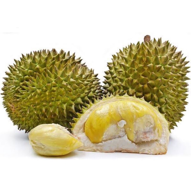 Jual PROMO!!! PAKET 3 DURIAN MEDAN / BUAH DURIAN MEDAN BULAT UTUH FRESH ...