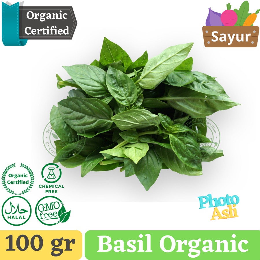 Jual Daun Basil Organik | Oragnic Basil Leaf | Shopee Indonesia