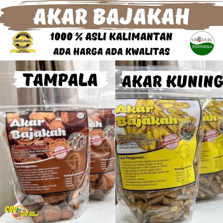 Jual Akar Bajakah Asli Kalimantan 1 kg | Shopee Indonesia