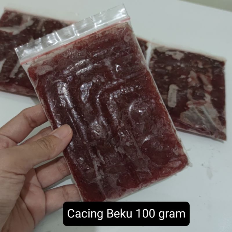 Jual Cacing Beku Lempeng - Frozen Bloodworm kemasan 250 gram | Shopee ...