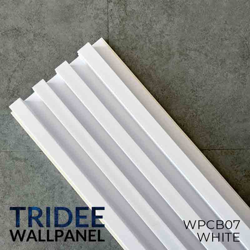 Jual FLUTED WOOD PANEL WPC 24MM | 295-300CM | TRIDEE WALLPANEL | Shopee ...