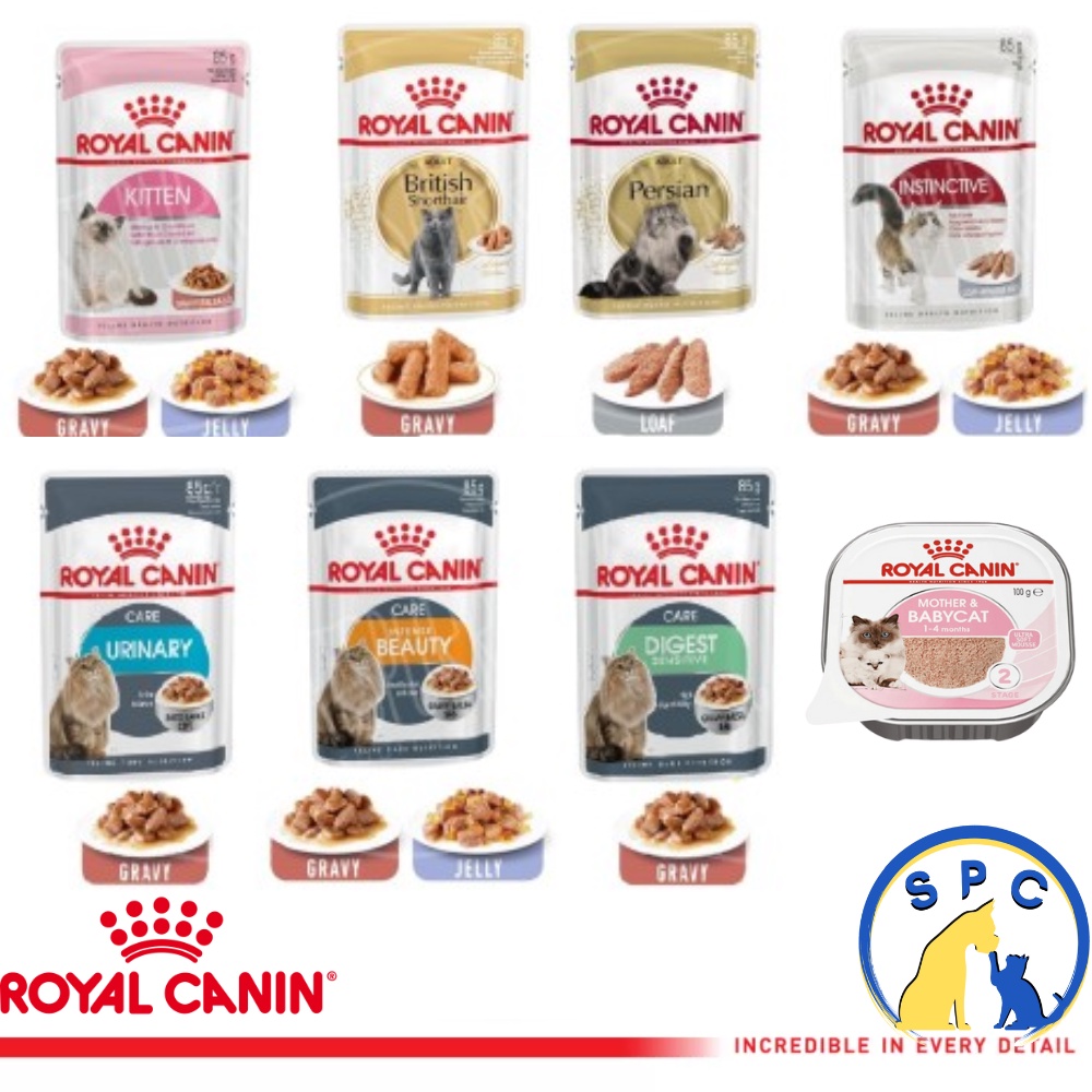 Jual ROYAL CANIN RC Wet Food Makanan Basah Kitten Intense Beauty Gastro ...