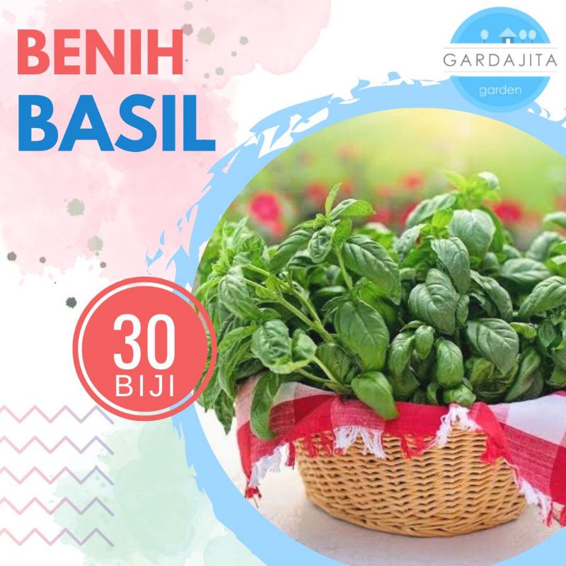 Jual Benih BASIL [isi-30] - Biji Bibit Sayur | Shopee Indonesia