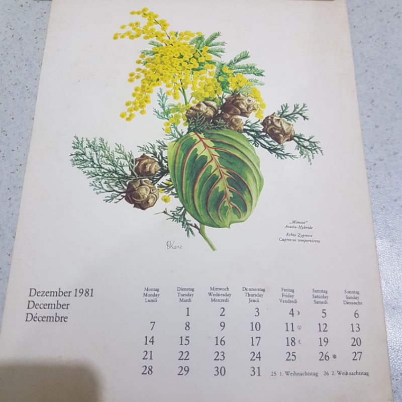 Jual Kalender asli cetakan 1981 Jerman bulan Desember 1981 gambar bunga ...