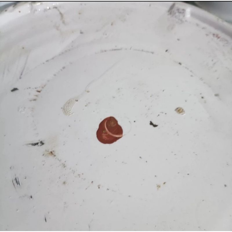 Jual Cat Zincrhomate Red 25kg - Cat Dasar Meni Besi Merah ( Khusus ...