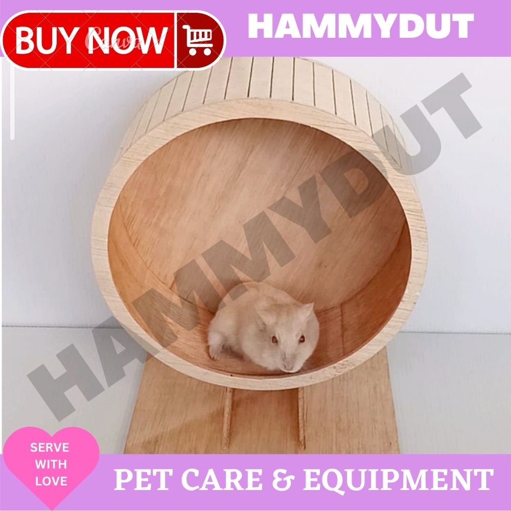 Jual Perlengkapan Kandang Mainan Kincir Jogging Wheel Ufo Kayu Jumbo ...